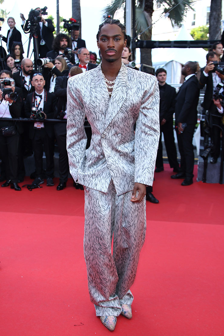 2024 Cannes Film Festival: Menswear Edition - Red Carpet Fashion Awards