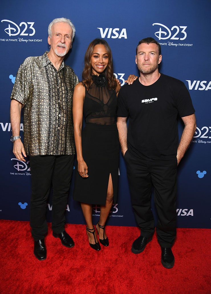 Zoe Saldana Wore Dolce & Gabbana To The ‘Avatar: Fire and Ash’ D23: The ...