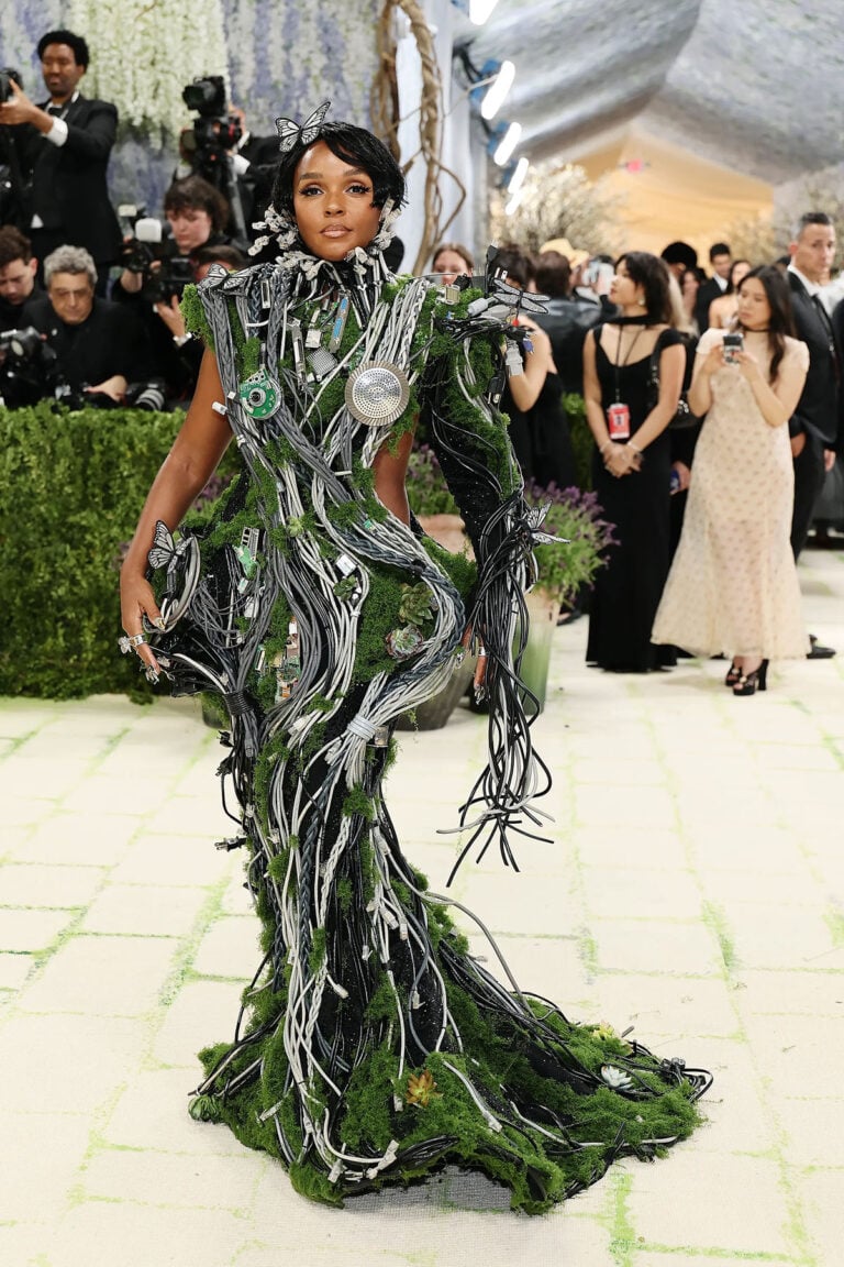 Janelle Monáe’s Christian Siriano Moss-and-Wire Look At The 2026 Met ...